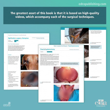 Surgical techniques. Small animal surgery - Veterinary Book