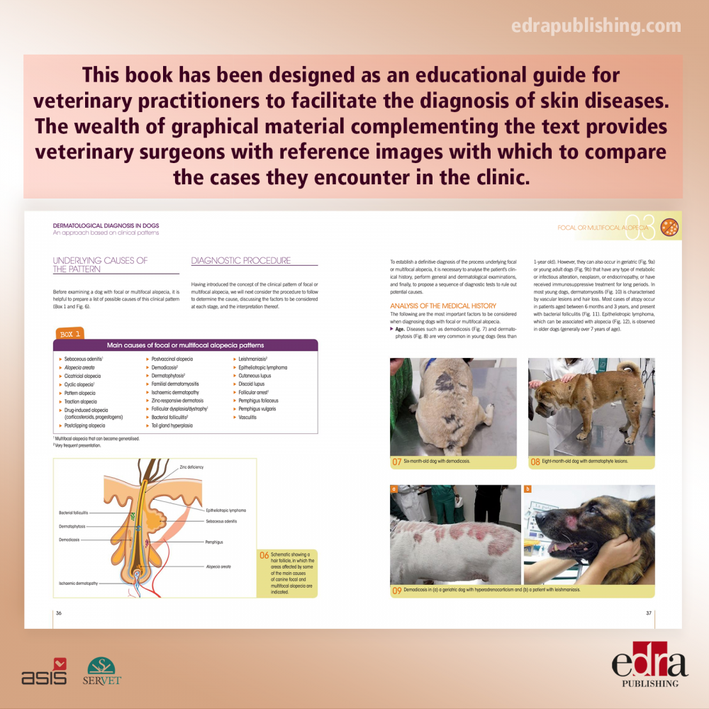 Dermatologic Diagnosis in Dogs - Veterinary Book