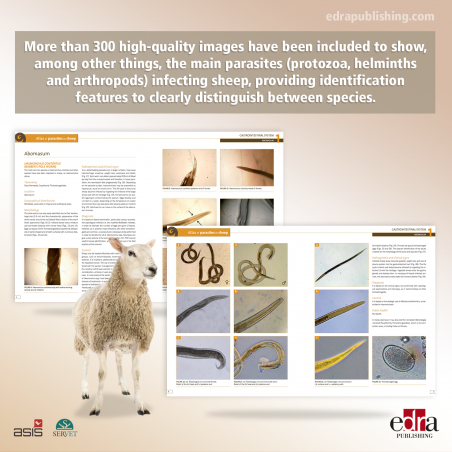 Atlas of Parasites in Sheep - Veterinary Book