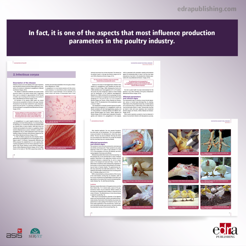 Vaccination in poultry - disease control poultry - veterinary book